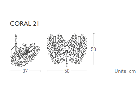 CORAL 21 :: 3+Projects